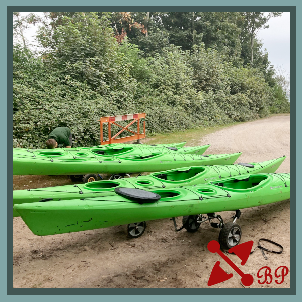Learning to paddle a sea kayak – Bumblebee Paddles